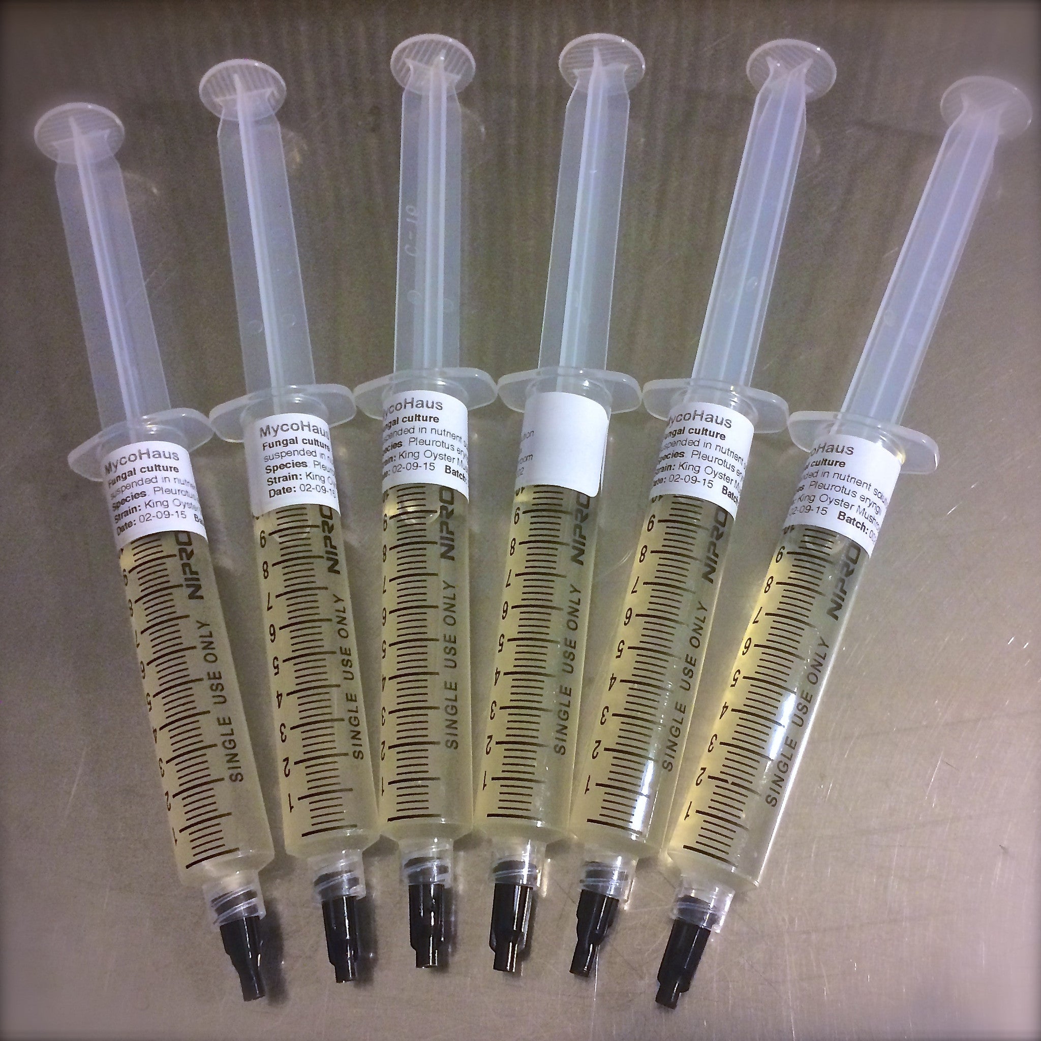 Live Liquid Cultures Mix & Match 6 Cultures of Your Choice – MycoHaus